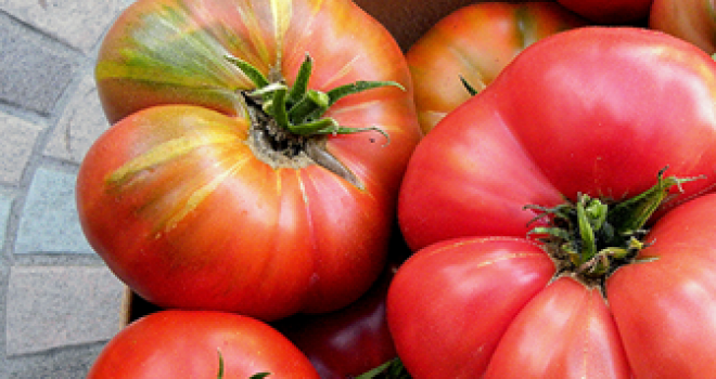 Toscano's - QUALITY FRUITERERS - Kew/Richmond/Toorak