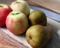 Toscano's - QUALITY FRUITERERS - Kew/Richmond/Toorak