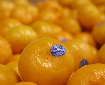 Toscano's - QUALITY FRUITERERS - Kew/Richmond/Toorak